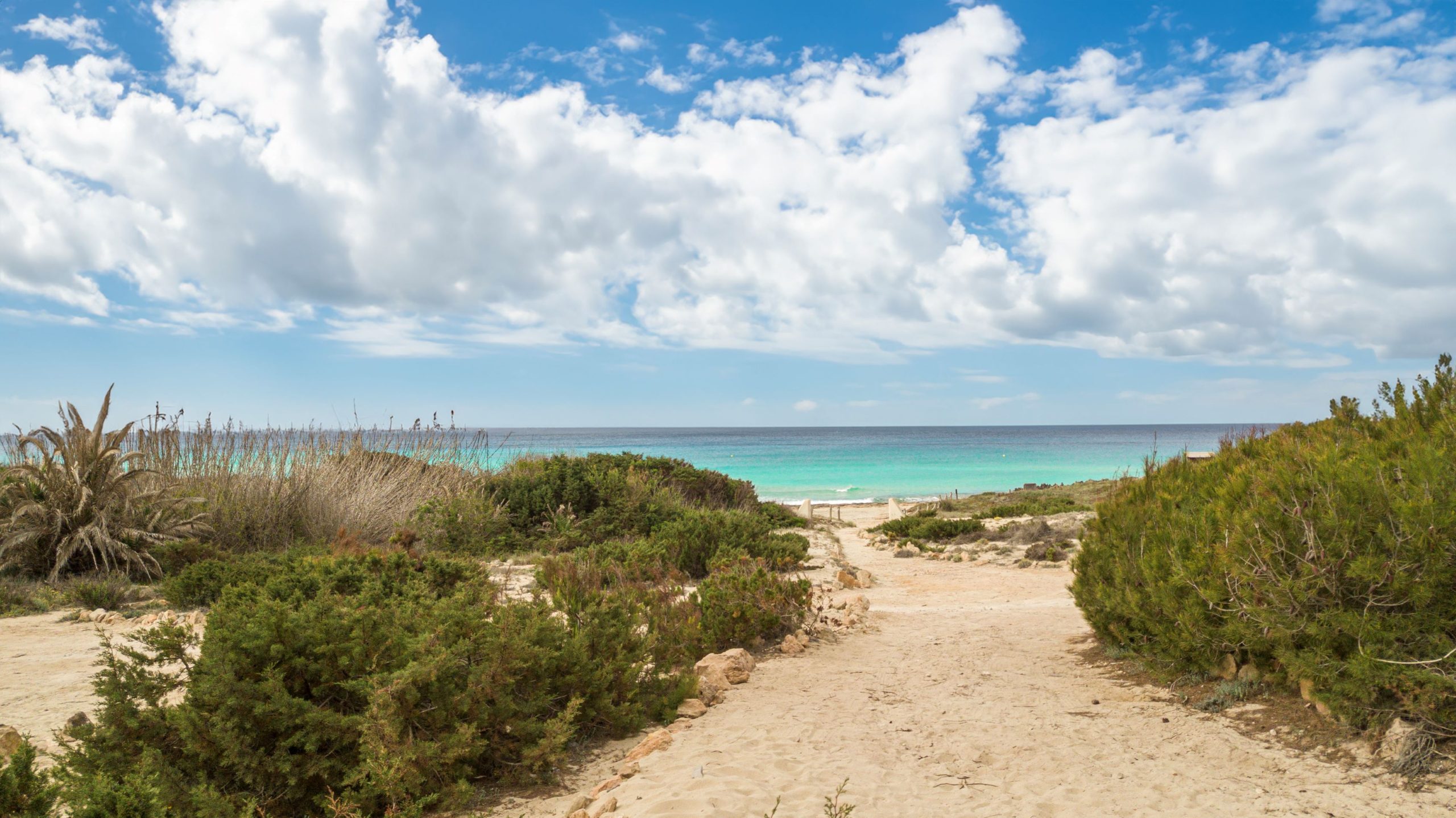 Facilities: Swimming pool, Restaurant, Gardens | Dunas de Formentera